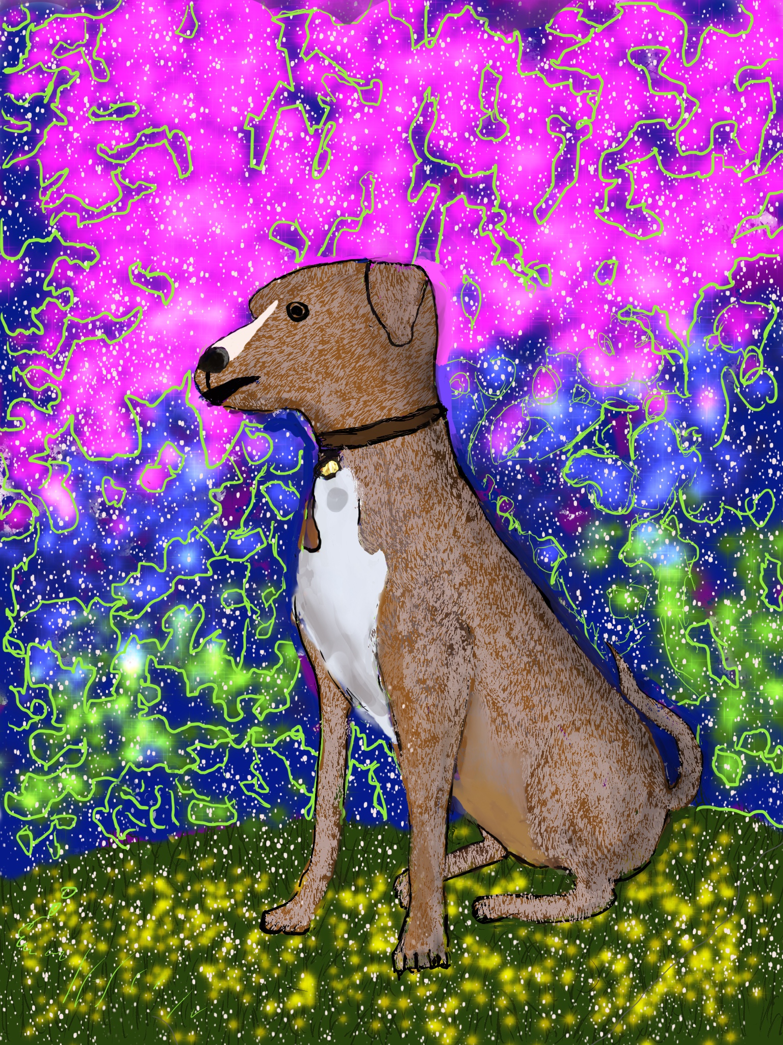 The SmARTteacher Resource Intro To ProCreate Painting